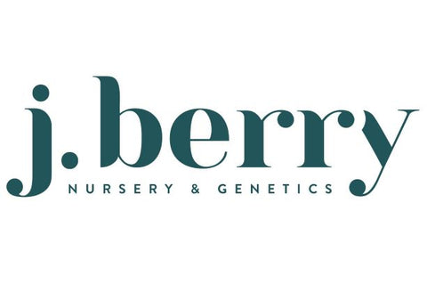 Products | J. Berry Nursery
